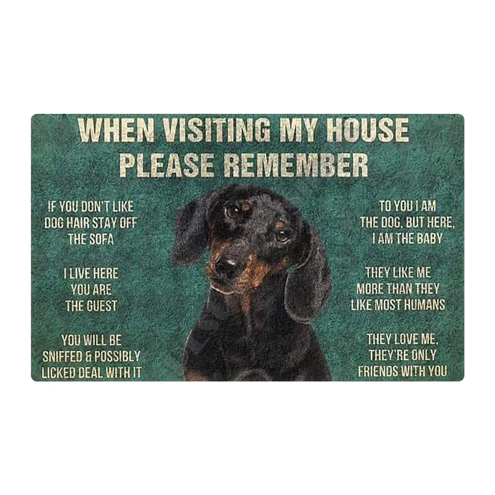 Opossum Blanket Fun Door Mat Welcome Entrance Slip Indoor Door Mat For ...