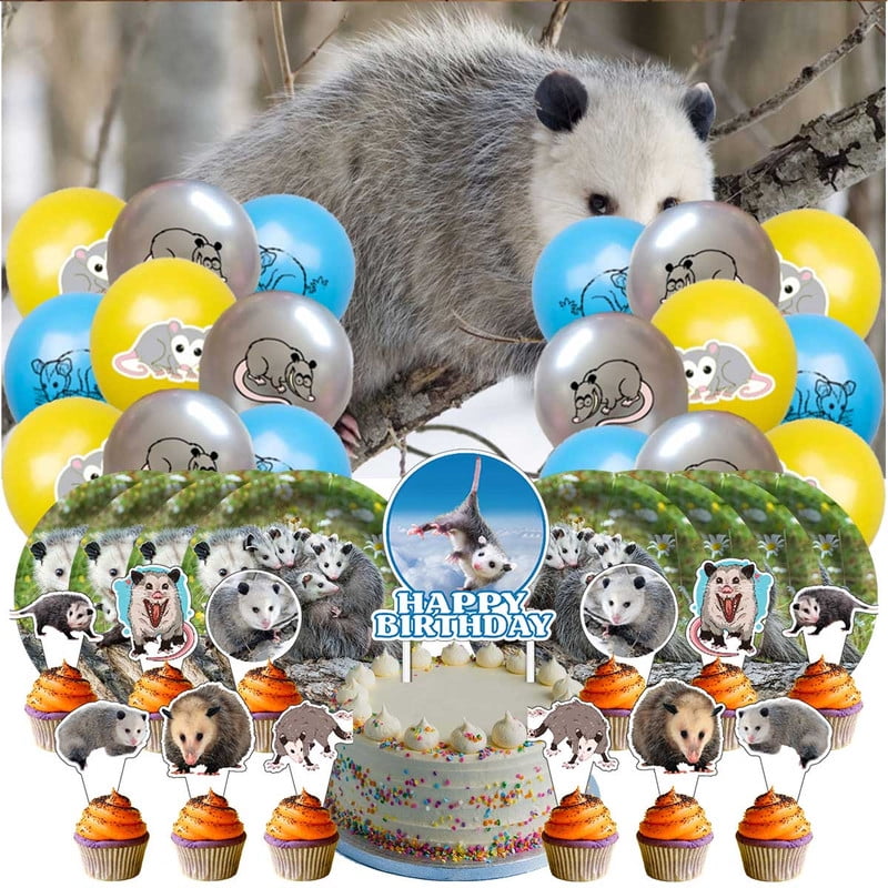 Opossum Party Decorations Plates Tableware Banner Backdrop Balloons ...
