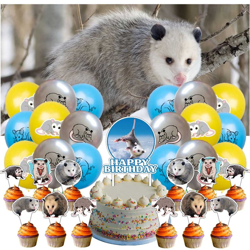 Opossum Party Decorations Set Kit Latex Balloons Birthday Decor Cake ...