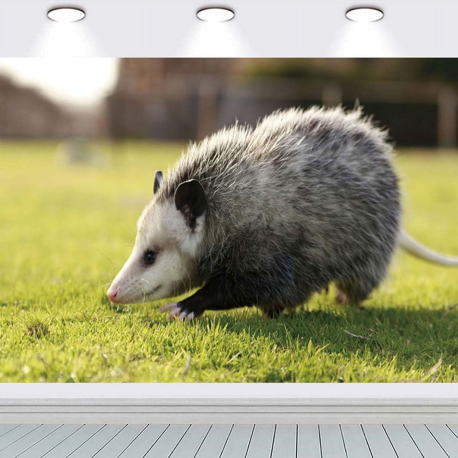 Opossum Taspestry Wall Decor Background Banner Birthday Backdrop Party ...