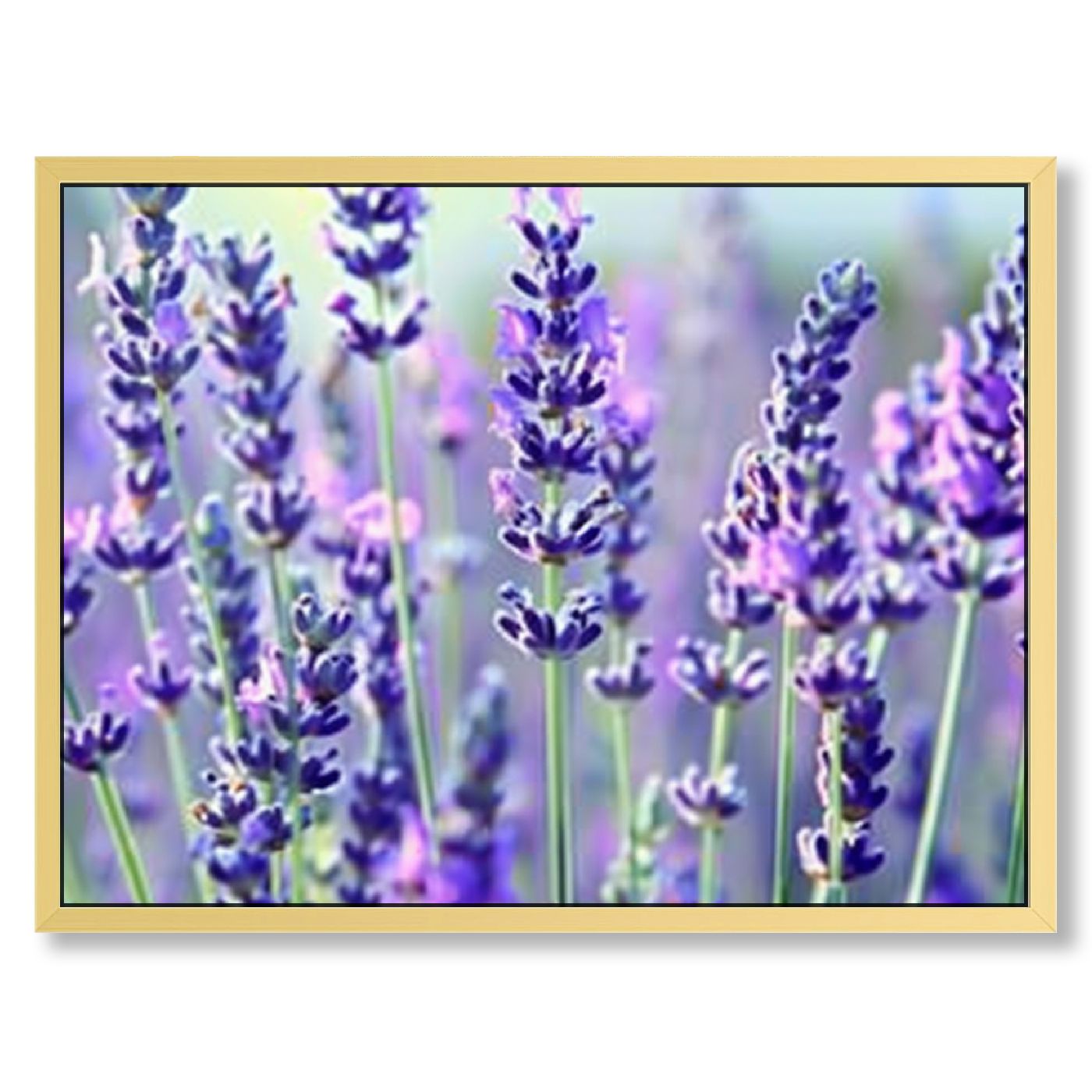 Opportunity Canvas Quotes Wall Art - Inspiring & Motivational Decor for ...