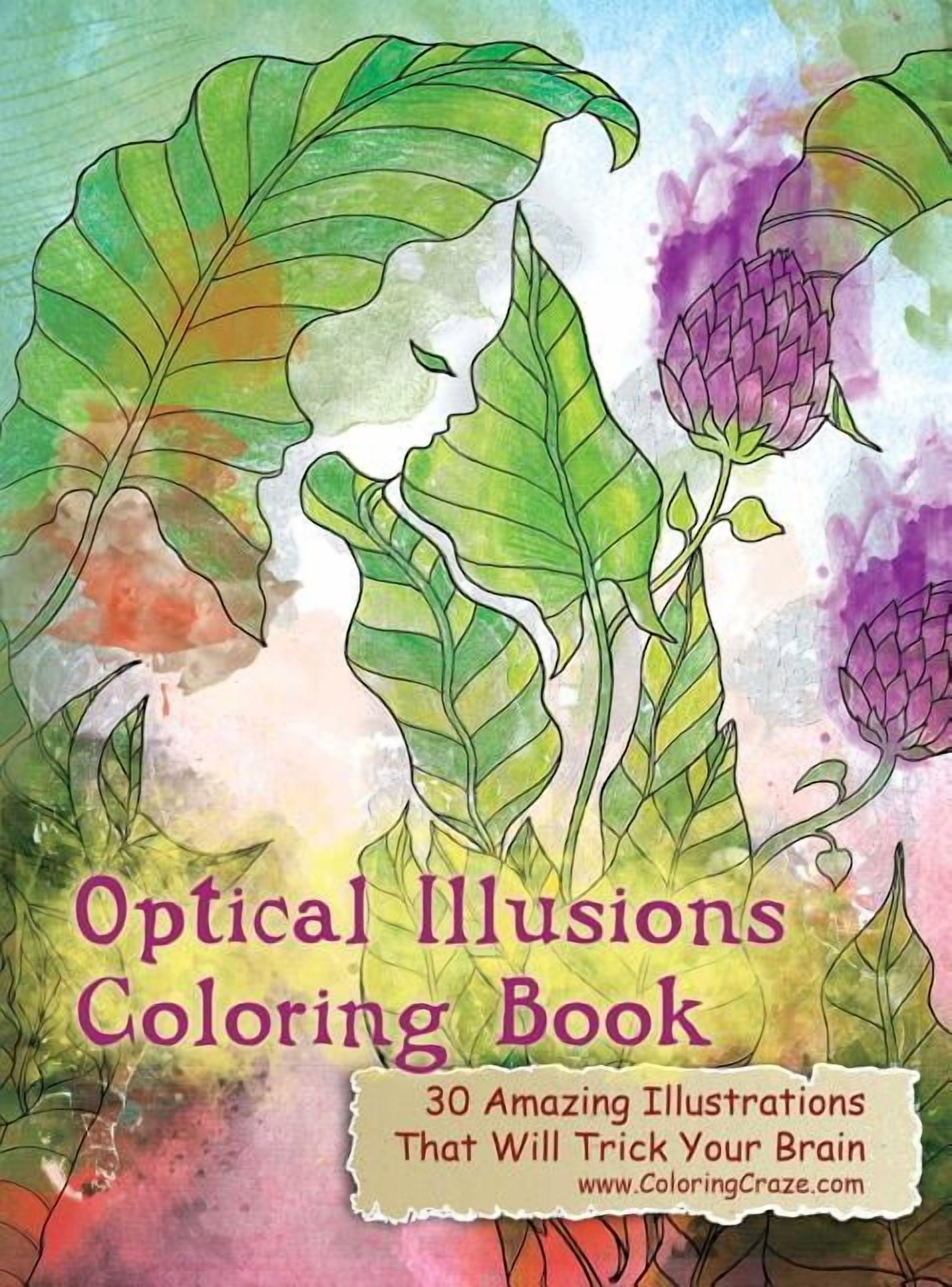Optical Illusions Coloring Books for Gro Optical Illusions Coloring ...