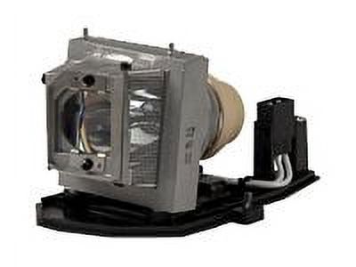 Optoma OEM BL-FU190D Lamp for Optoma Projectors - Walmart.com