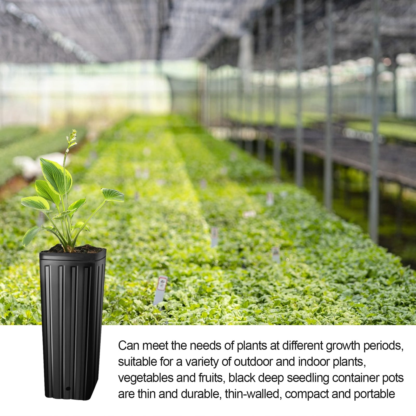 Opvise 10Pcs Deep Plant Nursery Pots with Drainage Holes High Survival ...