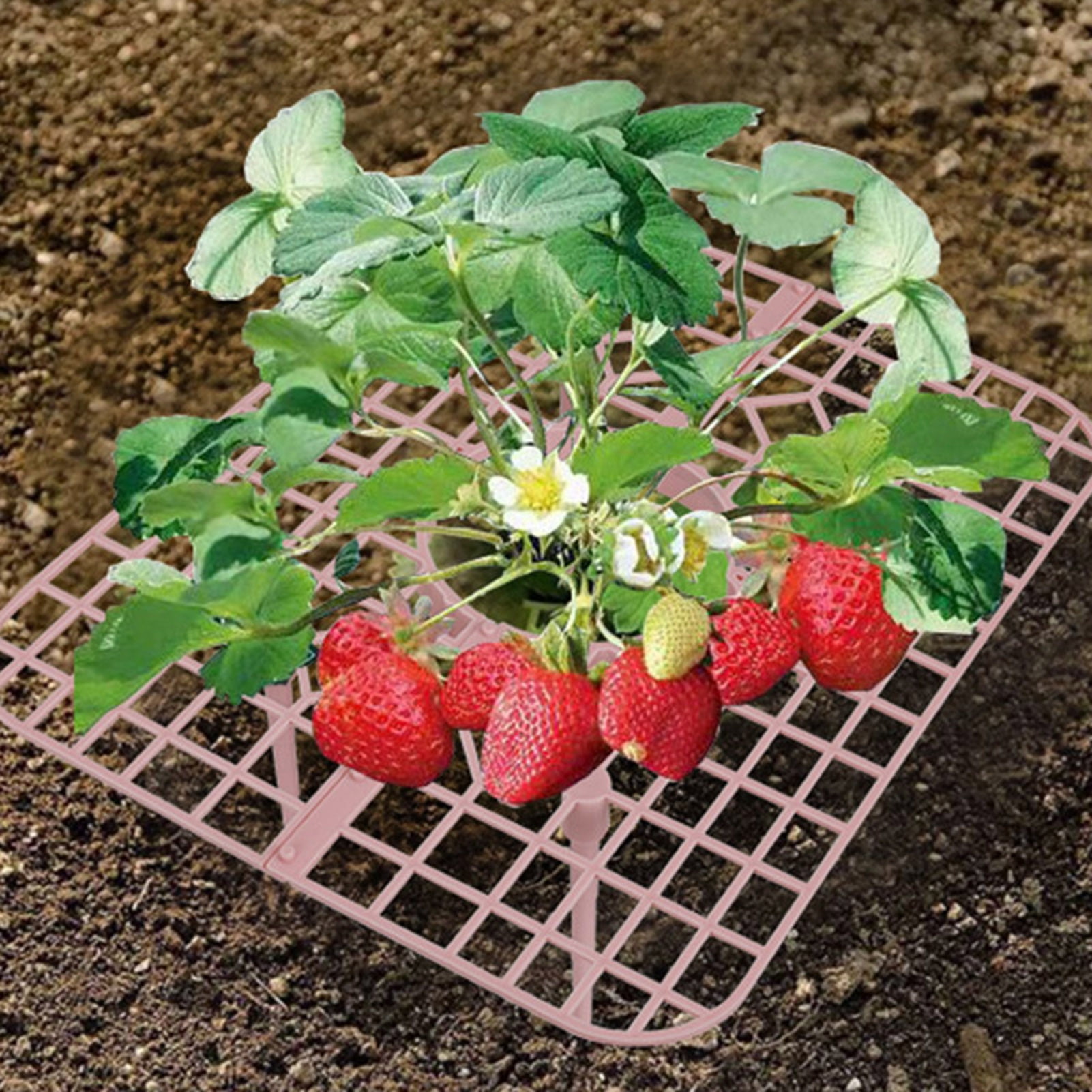 Opvise Strawberry Plant Support Fruit Growing Frame Waterproof Hollow ...