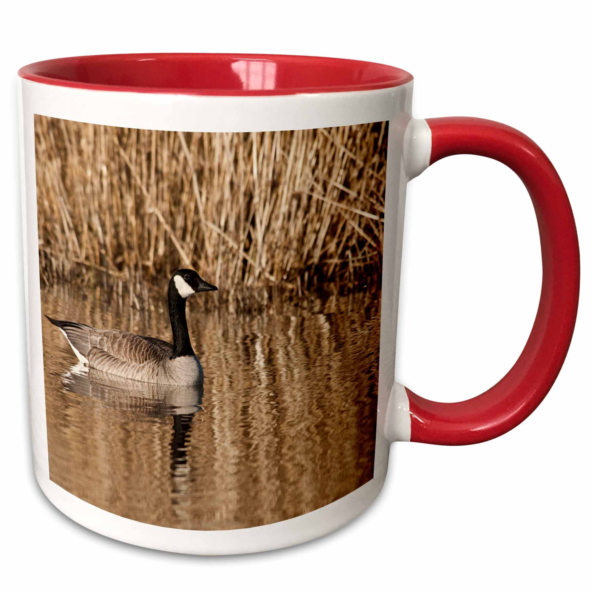 3drose, Or, Baskett Slough Nwr, Canada Goose Bird - Us38 Rbr0141 - Rick ...