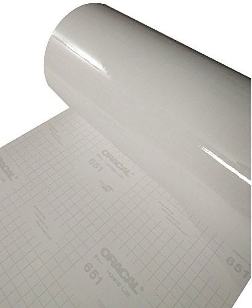 Oracal 651 Glossy Permanent Vinyl Roll - 12 Inch x 10 Feet ...