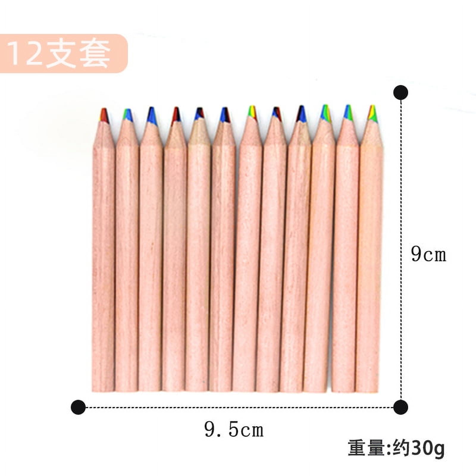 Oraceous 12pcs Compact Rainbow Colored Pencils For Kids Children ...