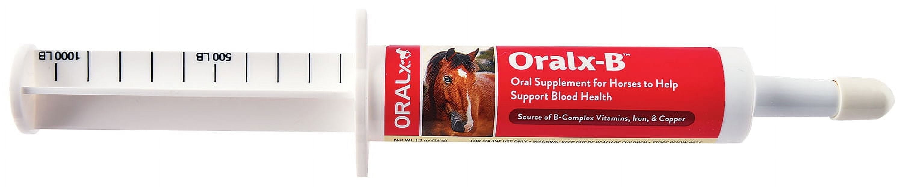 Oralx Corporation Oralx-B Paste for Horses - Walmart.com
