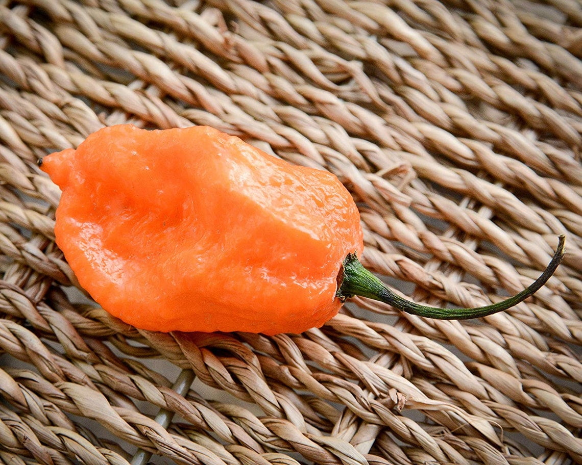 Orange Bhut (Ghost) Copenhagen BOC Pepper Premium Seeds Packet ...