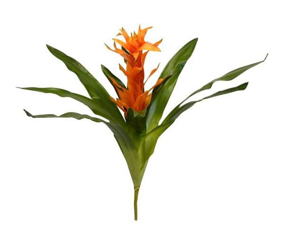 Orange Bromeliad with Green Leaves 20in Artificial Polysilk Faux Fake ...