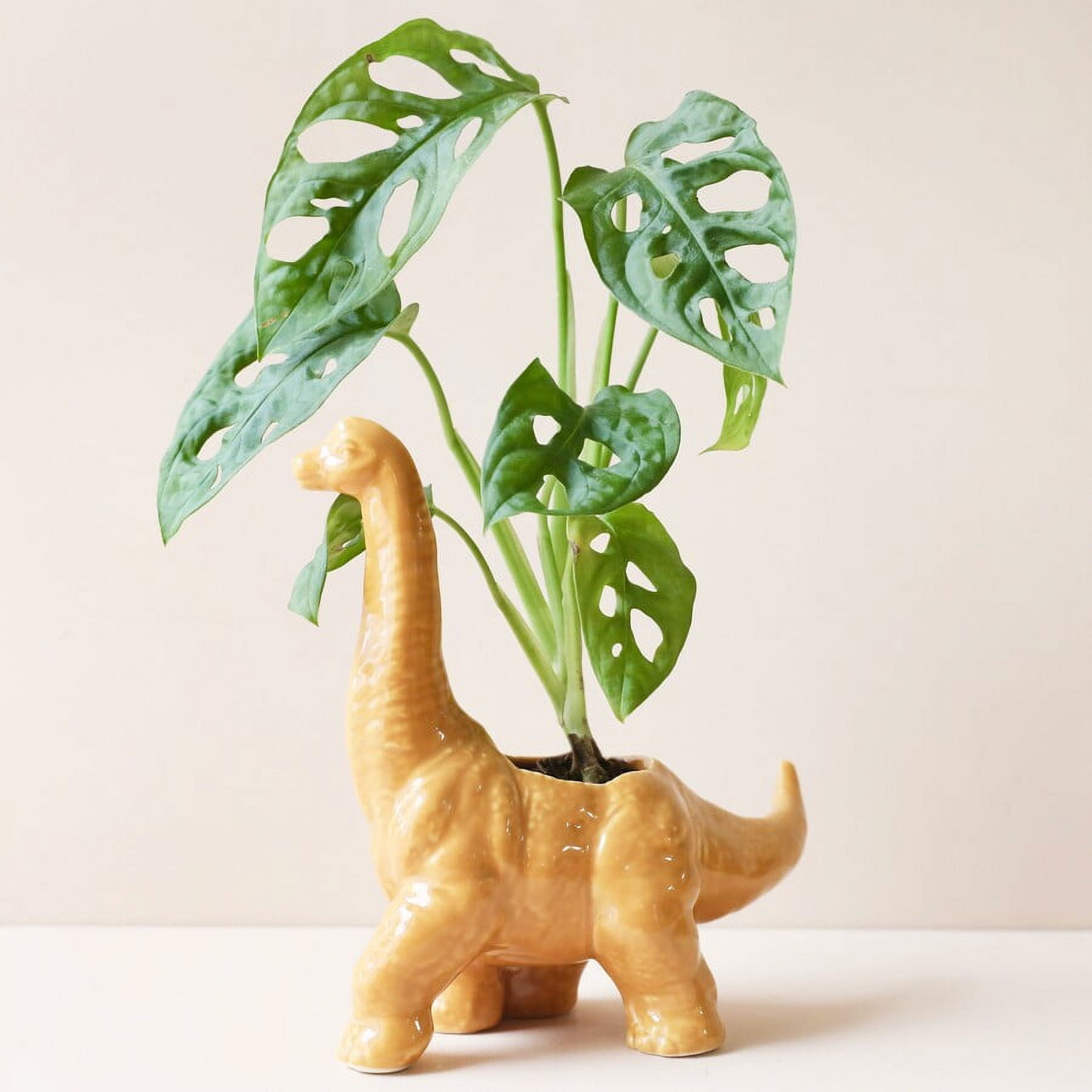 SparkDazzle Orange Dinosaur Planter Pots for Succulents - Walmart.com