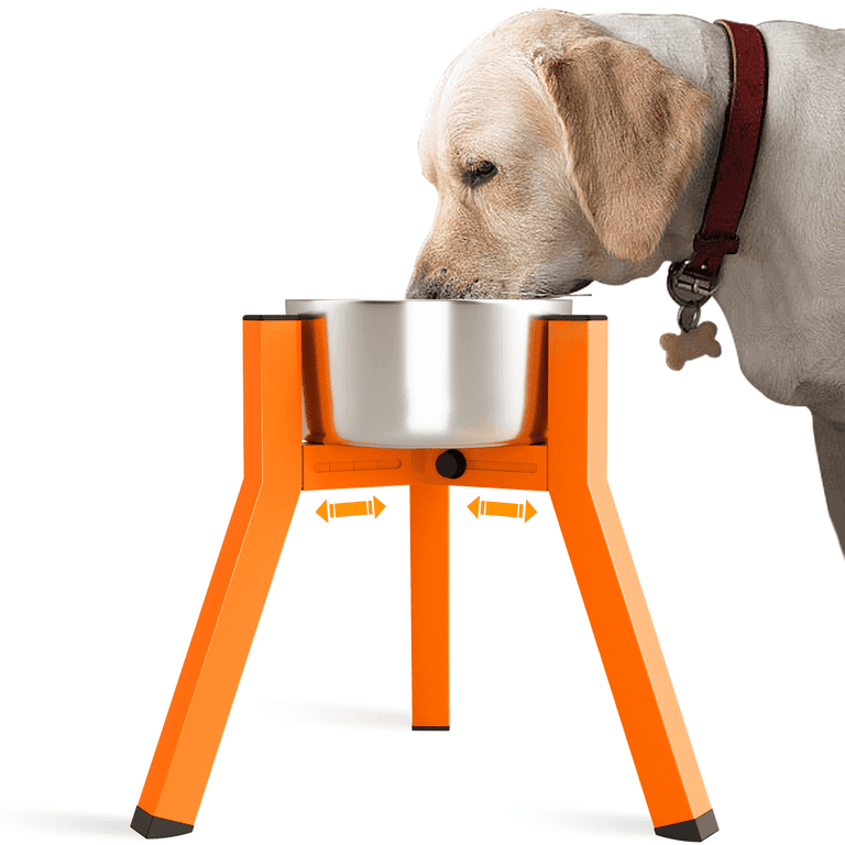 Tall water bowl for dogs store
