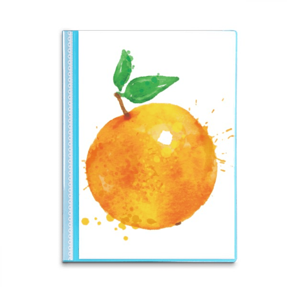 Orange Fruit Watercolor Illustration Pattern Book Sheet Protectors ...