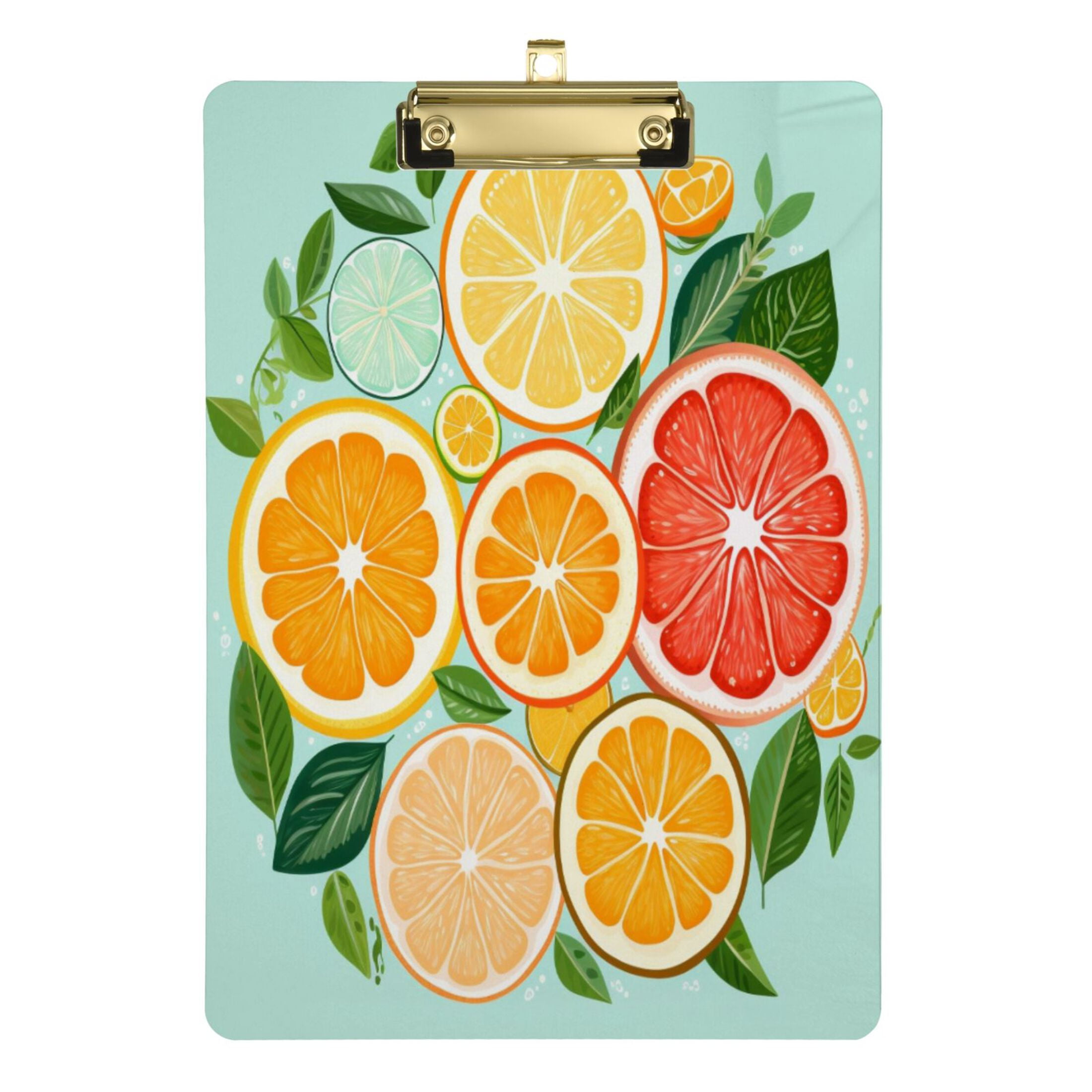 Orange Fruits Acrylic Clipboards A4 Standard Letter Size Clipboard 12.5 ...