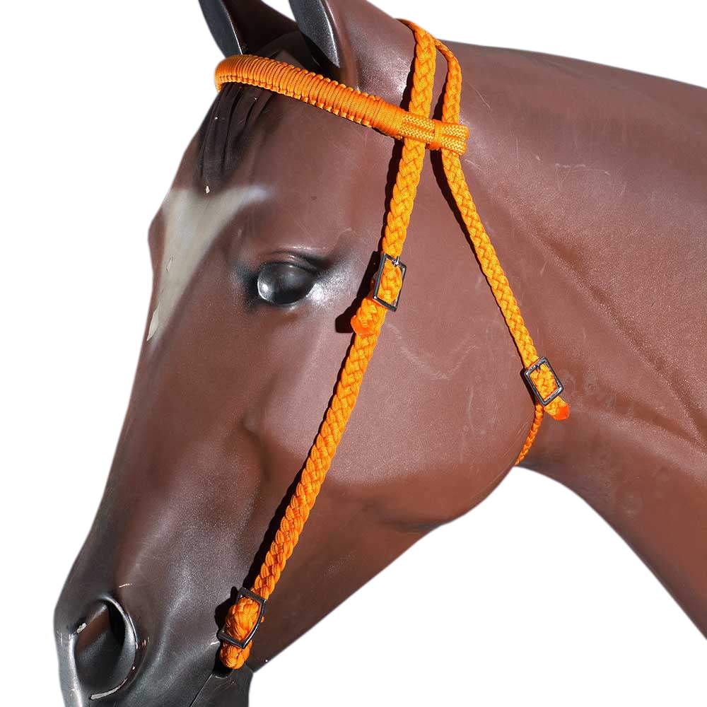 Orange Horse Bridle Headstall Flat Braided Paracord By Hilason ...