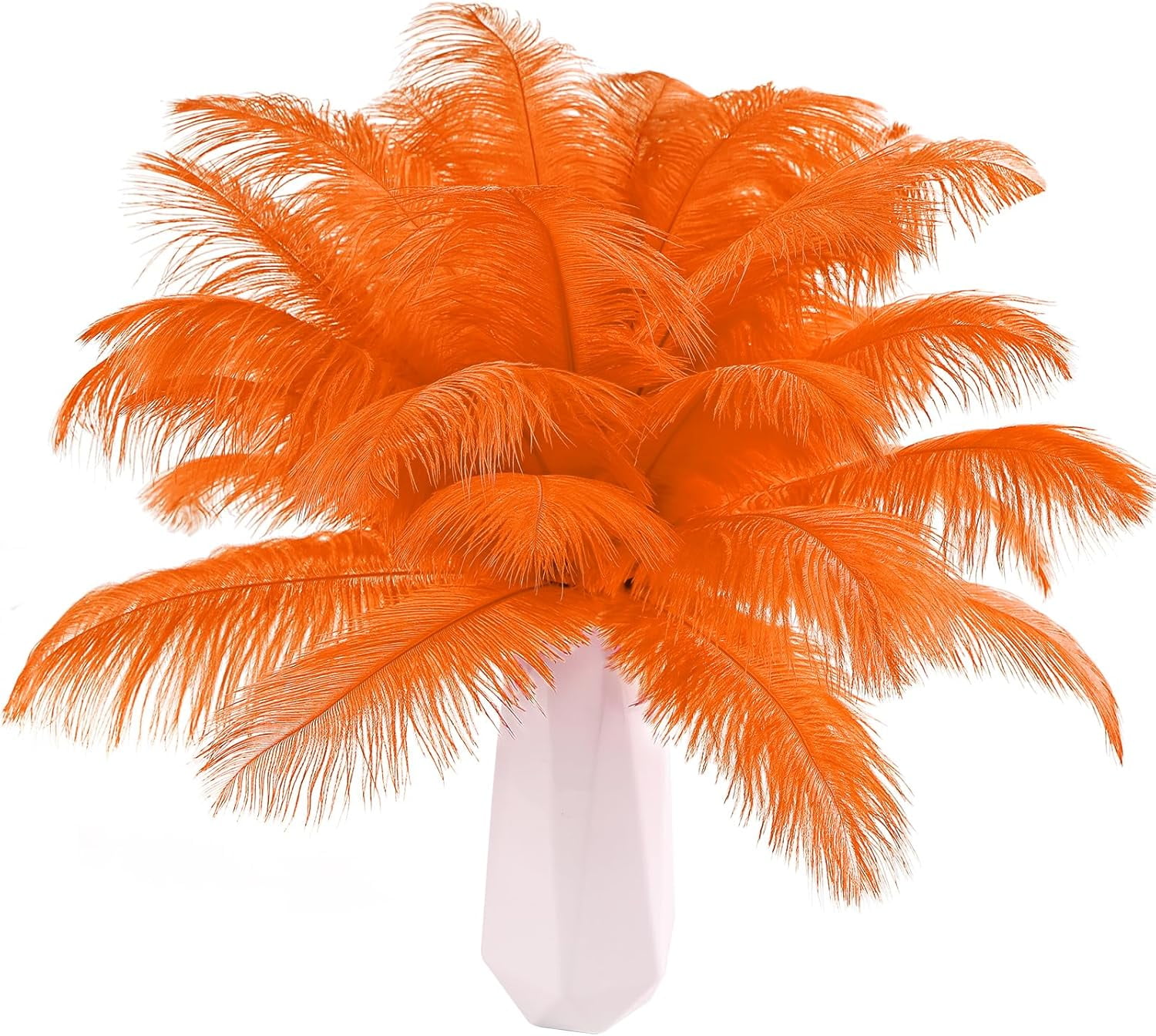 Orange Ostrich Feathers 24pcs Natural Bulk 8-10Inch 20cm-25cm for Crafts Wedding Party ...