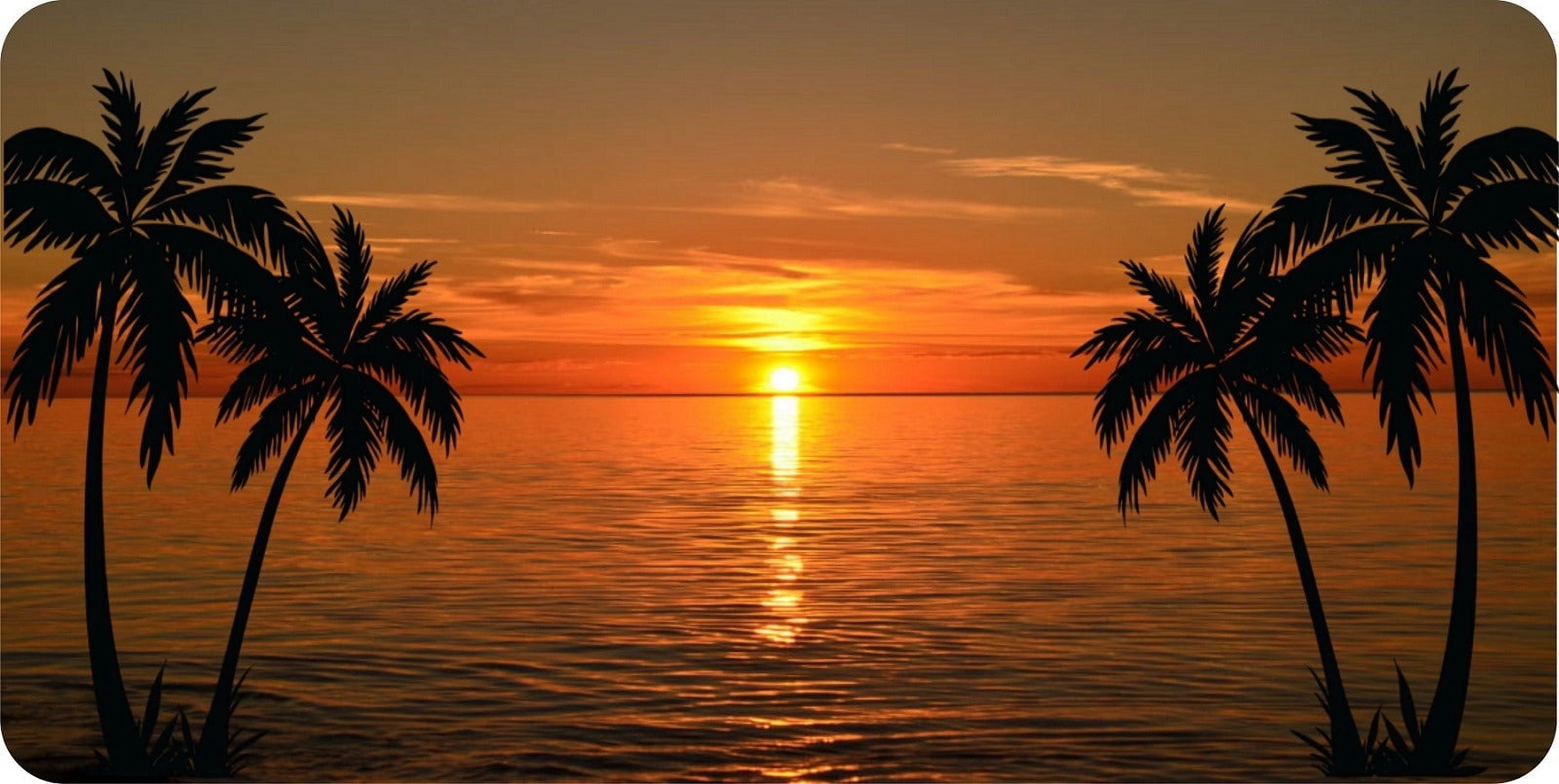 Orange Palm Tree Sunset Photo License Plate - Walmart Business Supplies
