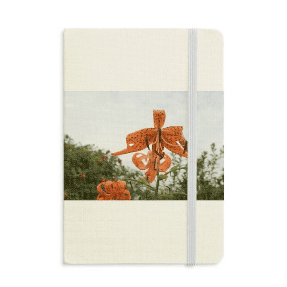 Orange River Lily Art Deco Fashion Notebook Official Fabric Hard Cover ...