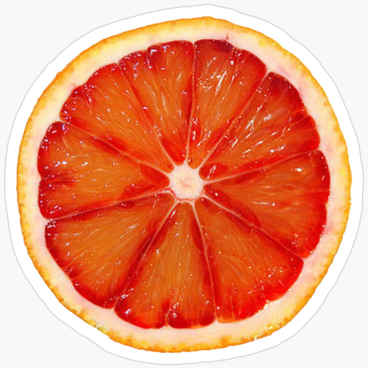 Orange Slice Sticker. Gift For You - Decorate Laptops, Water Bottles ...