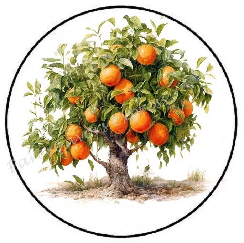 Orange Tree Sticker Party Favors Sticker Envelope Seals Labels Stickers ...