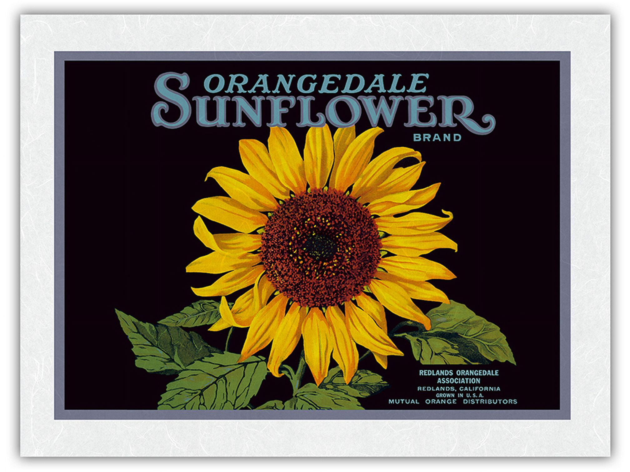 Orangedale Sunflower Brand - California Oranges - Vintage Fruit Crate Label c.1930s - Japanese ...