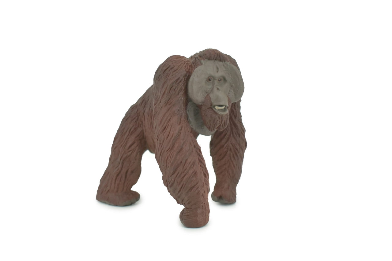Orangutan, Great Apes, Museum Quality, Hand Painted, Rubber, Asia ...