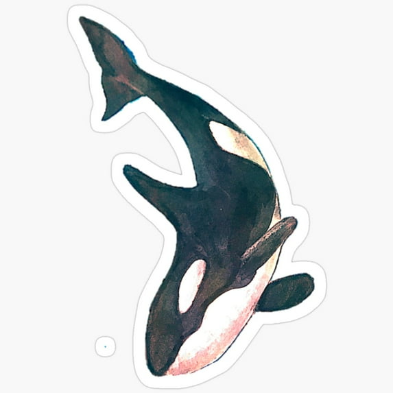 Orca Design Sticker Sticker. Gift For You - Decorate Laptops, Water ...