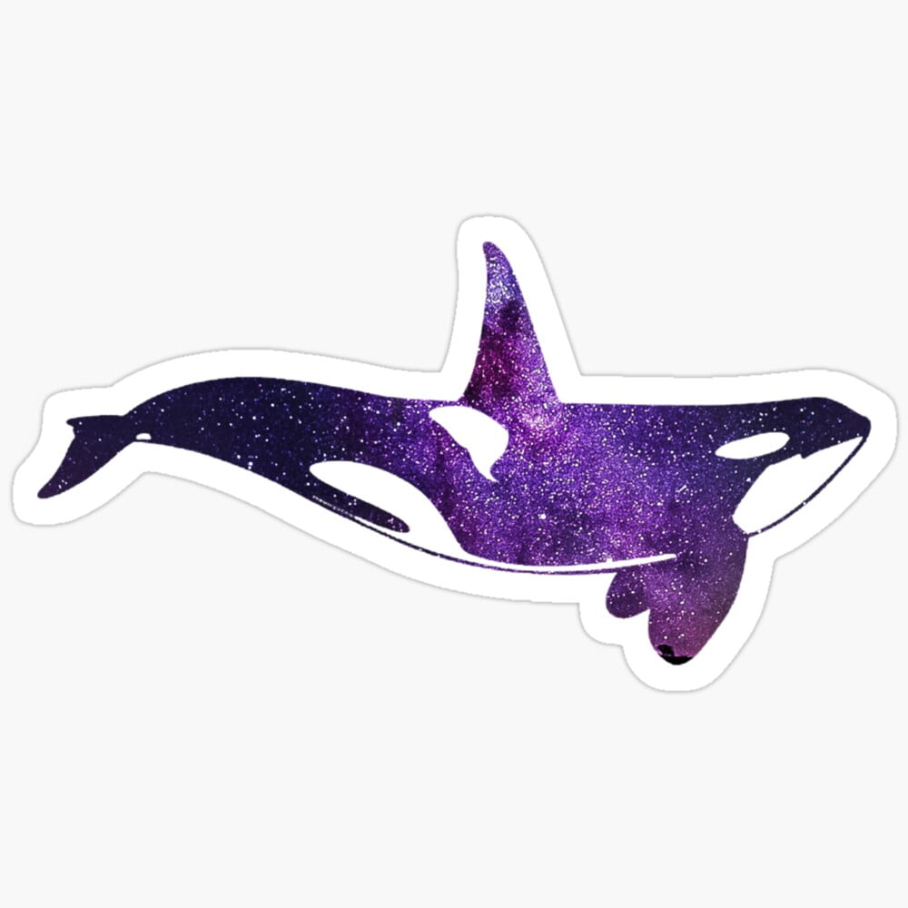Orca In Space Sticker Phone Decal Water Bottle Stickers Car Decals ...