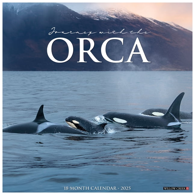Orca (Journey with The) 2025 12 X 12 Wall Calendar, (Paperback ...