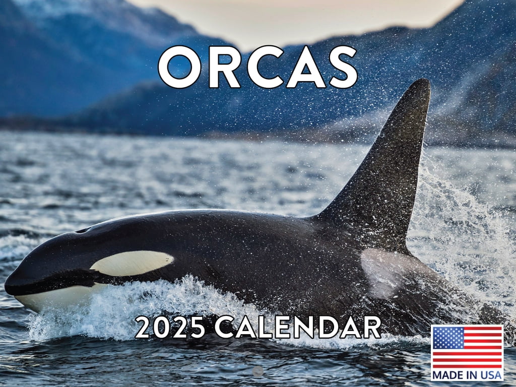 Orca Killer Whale Calendar 2025 Orcas Monthly Wall Calender 12 Month ...