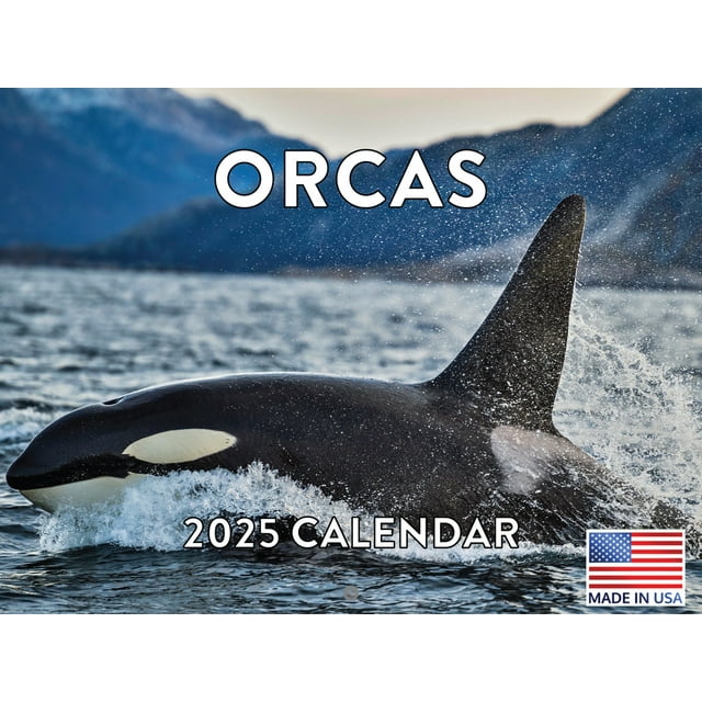 Orca Killer Whale Calendar 2025 Orcas Monthly Wall Calender 12 Month ...