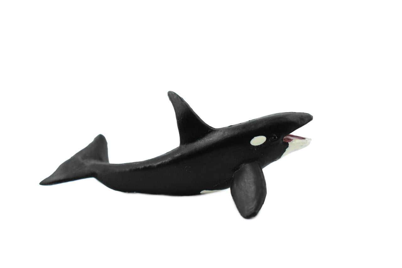 Orca, Killer Whale, Marine Mammal, Rubber Animal, Realistic Toy Figure ...