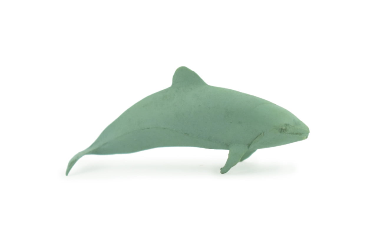 Orca, Killer Whale, Marine Mammal, Whales, Ocean, Educational ...