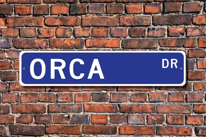 Orca Orca Gift Orca Sign Orca decor Orca lover killer whale oceanic ...