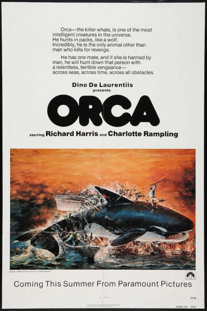 Orca Poster Metal Sign Art Print 8x12 Unframed, Age: Adults Best ...