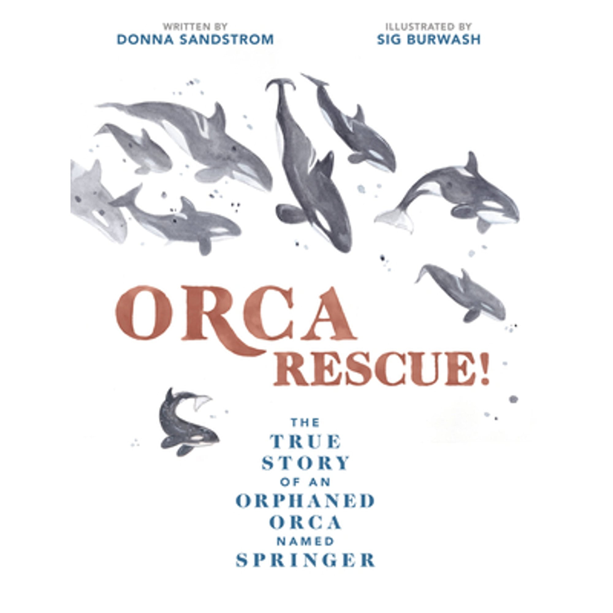 Pre-Owned Orca Rescue!: The True Story of an Orphaned Orca Named ...