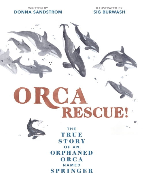 Orca Rescue!: The True Story of an Orphaned Orca Named Springer ...