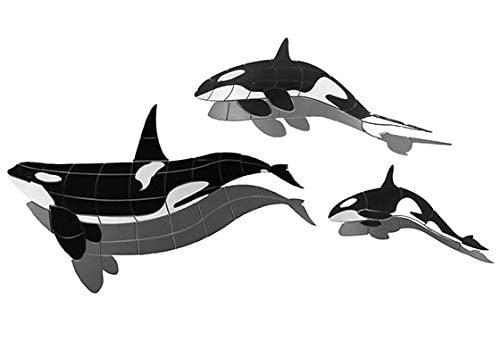 Orca Whale 3 Piece Family Porcelain Swimming Pool Mosaic with Shadows ...
