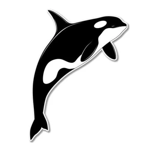 Orca Whale Car Sticker Phone Decal Water Bottle Stickers Car Decals ...