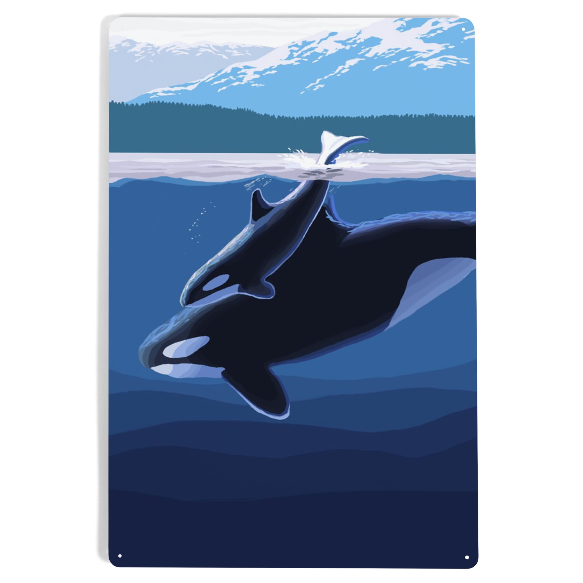 Orca and Calf (12x18 Aluminum Art, Indoor Outdoor Metal Sign Decor ...
