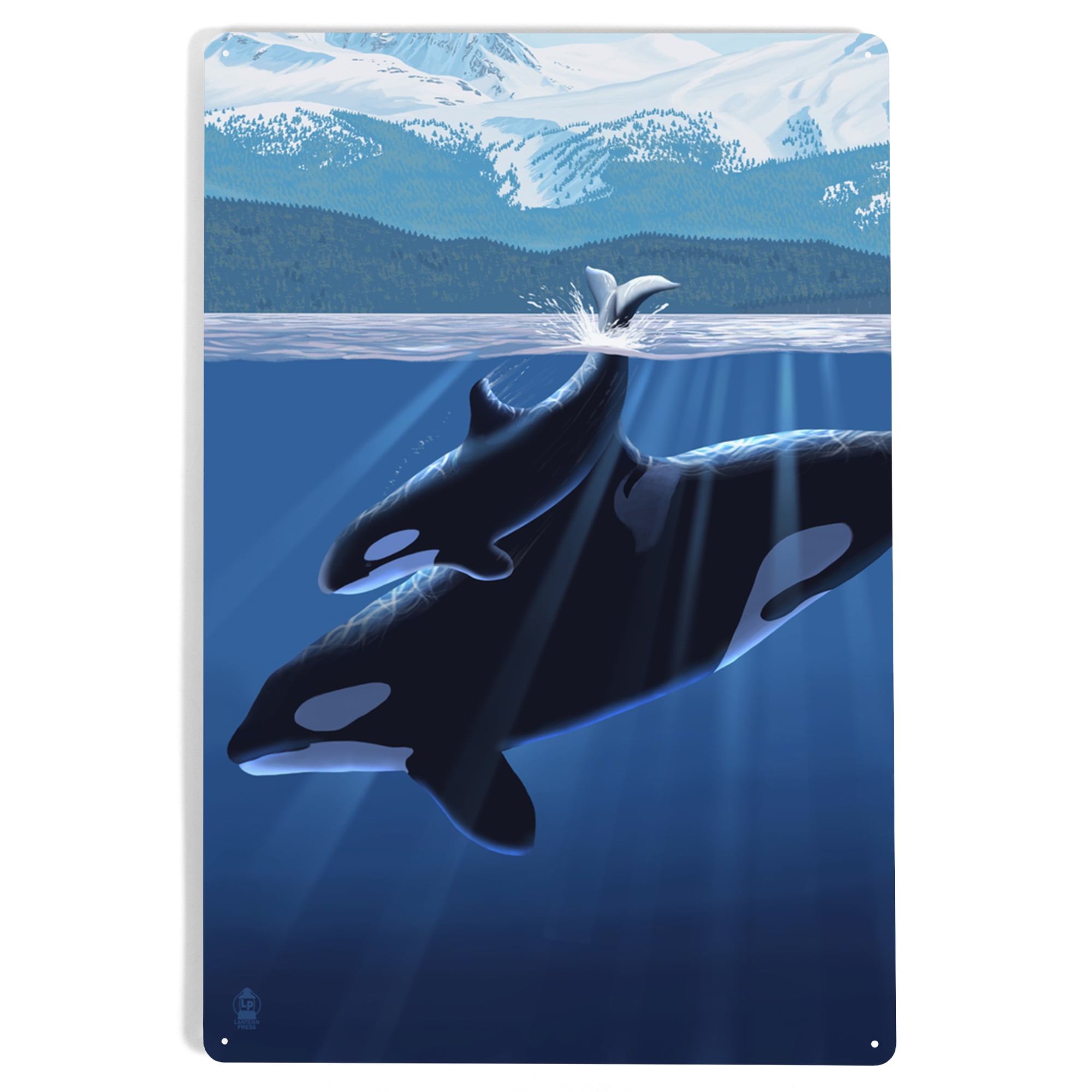 Orca and Calf (Mountains) (12x18 Aluminum Art, Indoor Outdoor Metal ...