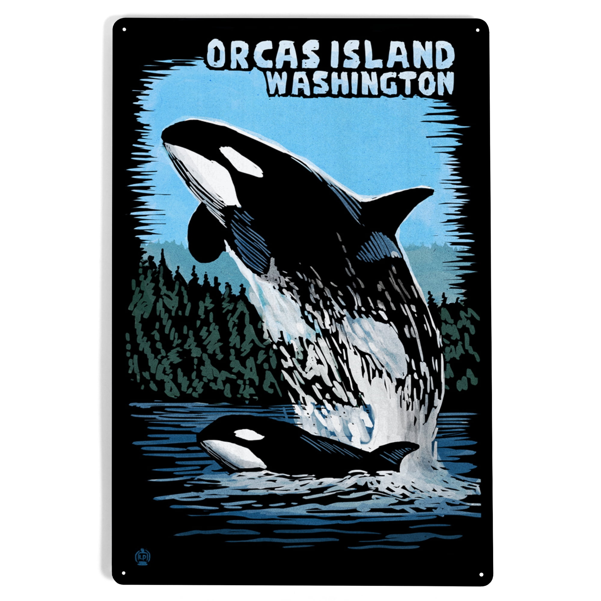 Orcas Island, Washington, Orca and Calf Scratchboard (12x18 Aluminum ...