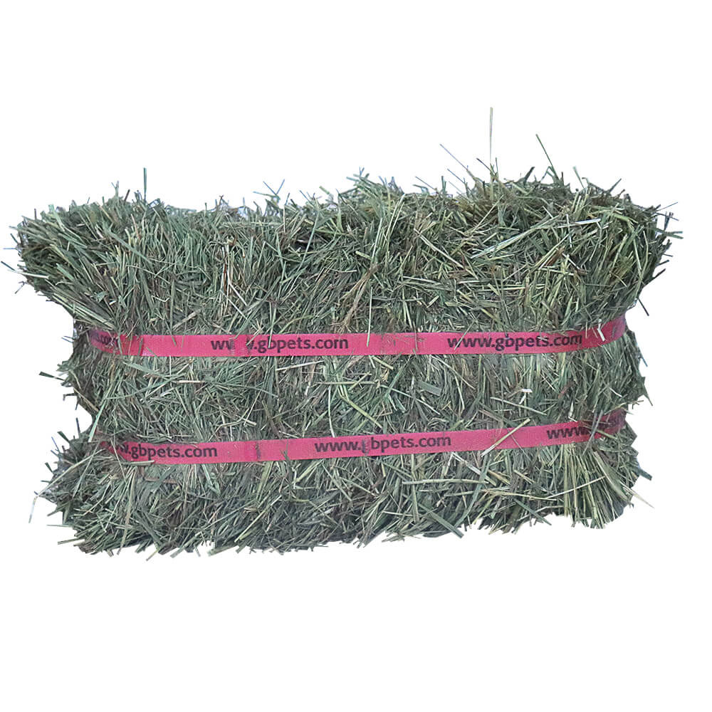 Orchard Grass Hay Mini Bale for Small Animals - 5lb - Walmart.com