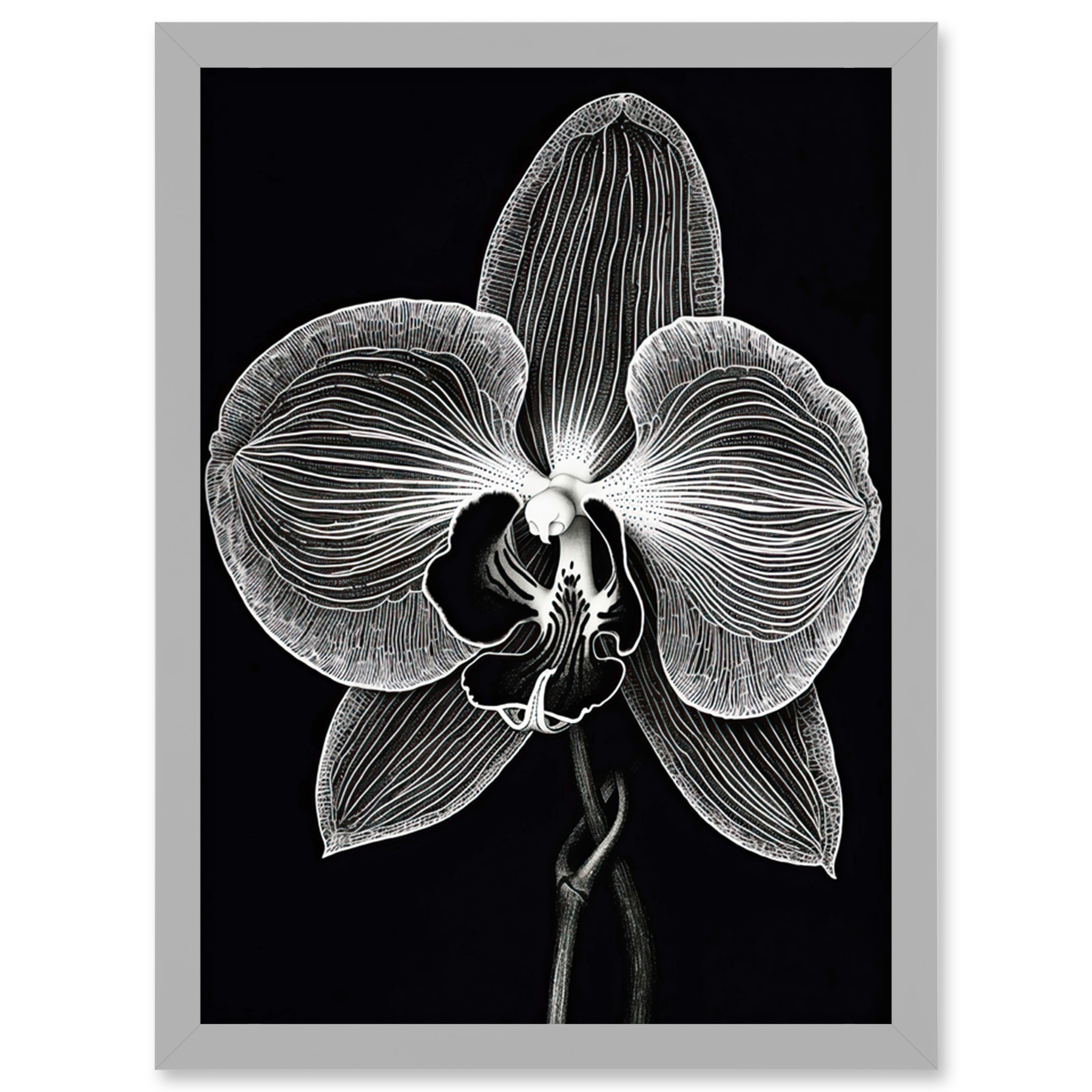 Orchid Flower Bloom Black and White Blind Contour Artwork Framed Wall Art Print A4 - Walmart.com