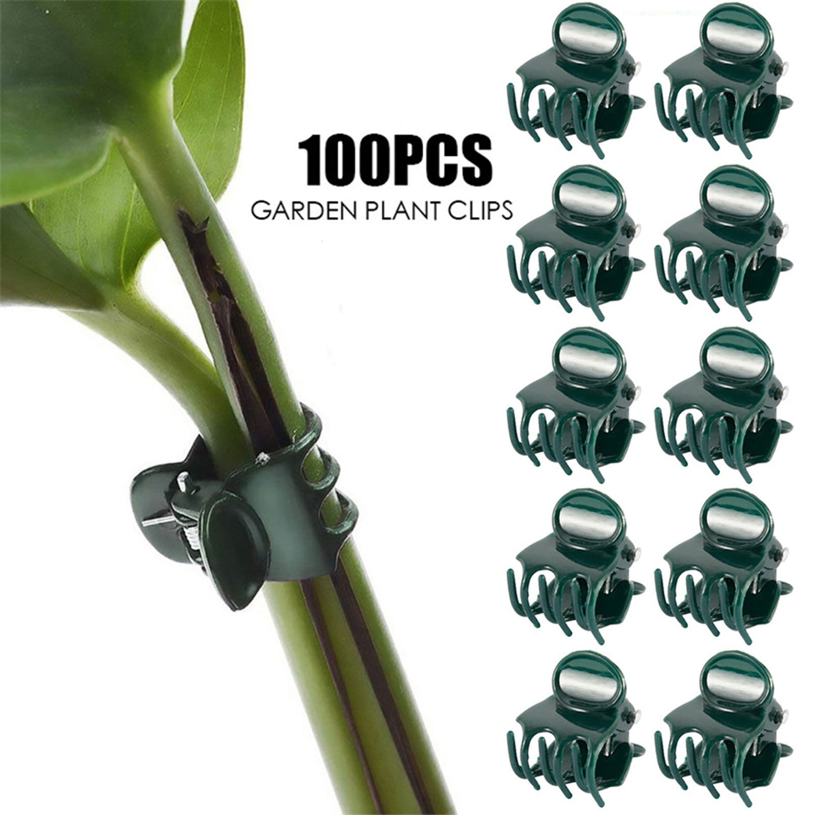 Orchid Flower Fixing Clips | Phalaenopsis Vines Support Plastic Branch ...