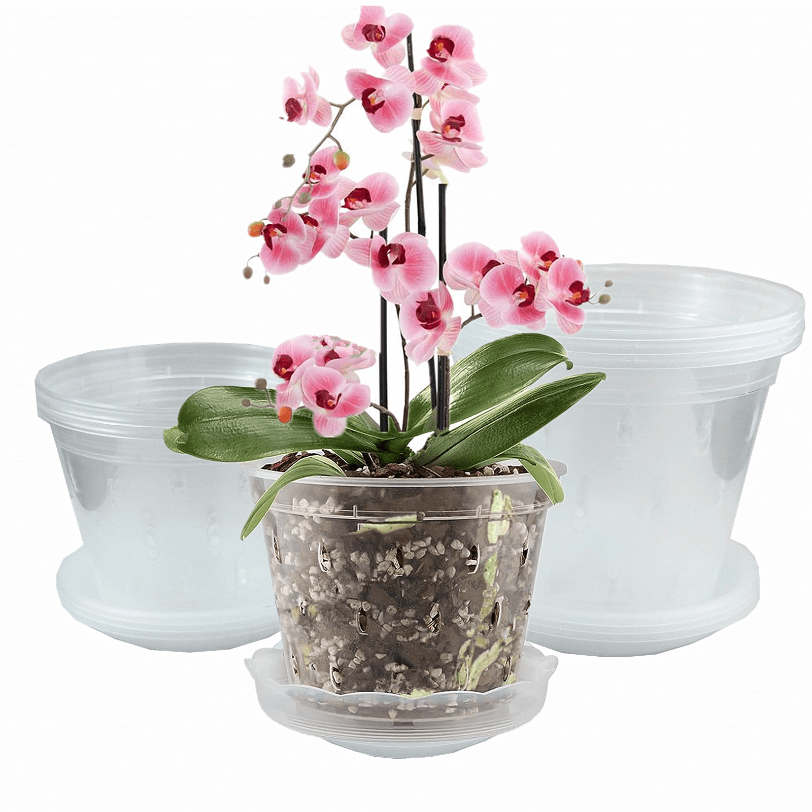 Orchid Pot, 6 Pack Clear Plastic Pots with Holes, Saucers, 4.8, 5.5, 7 ...