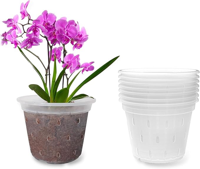 Orchid Pot, 8 Pack 5.5 Inch Clear Orchid Pots with Holes for Repotting ...