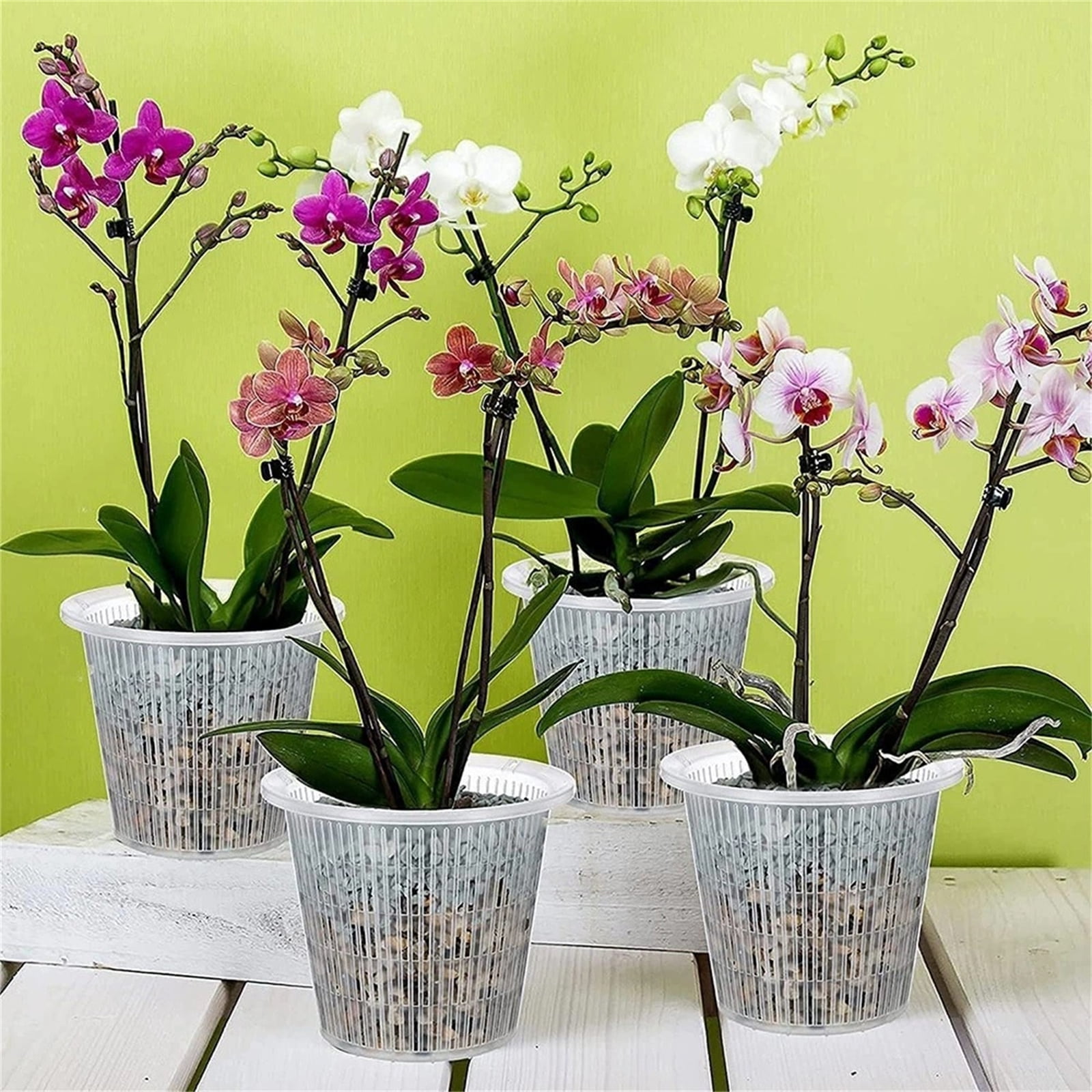 Orchid Pot with Holes Mesh Pot for Plants Clear Root Control Plastic ...
