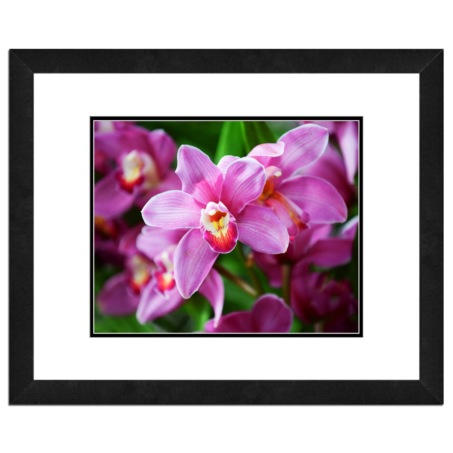 Orchids, Flowers Framed Photo by Photo File - Walmart.com